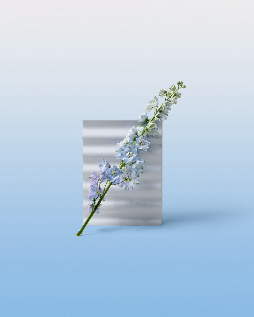 Bumpy bundle – Moodelier